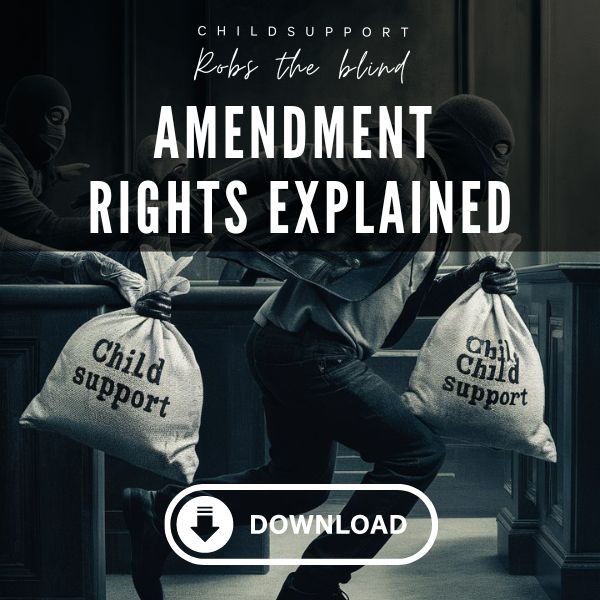 Amendment Rights Explained – Child Support 211